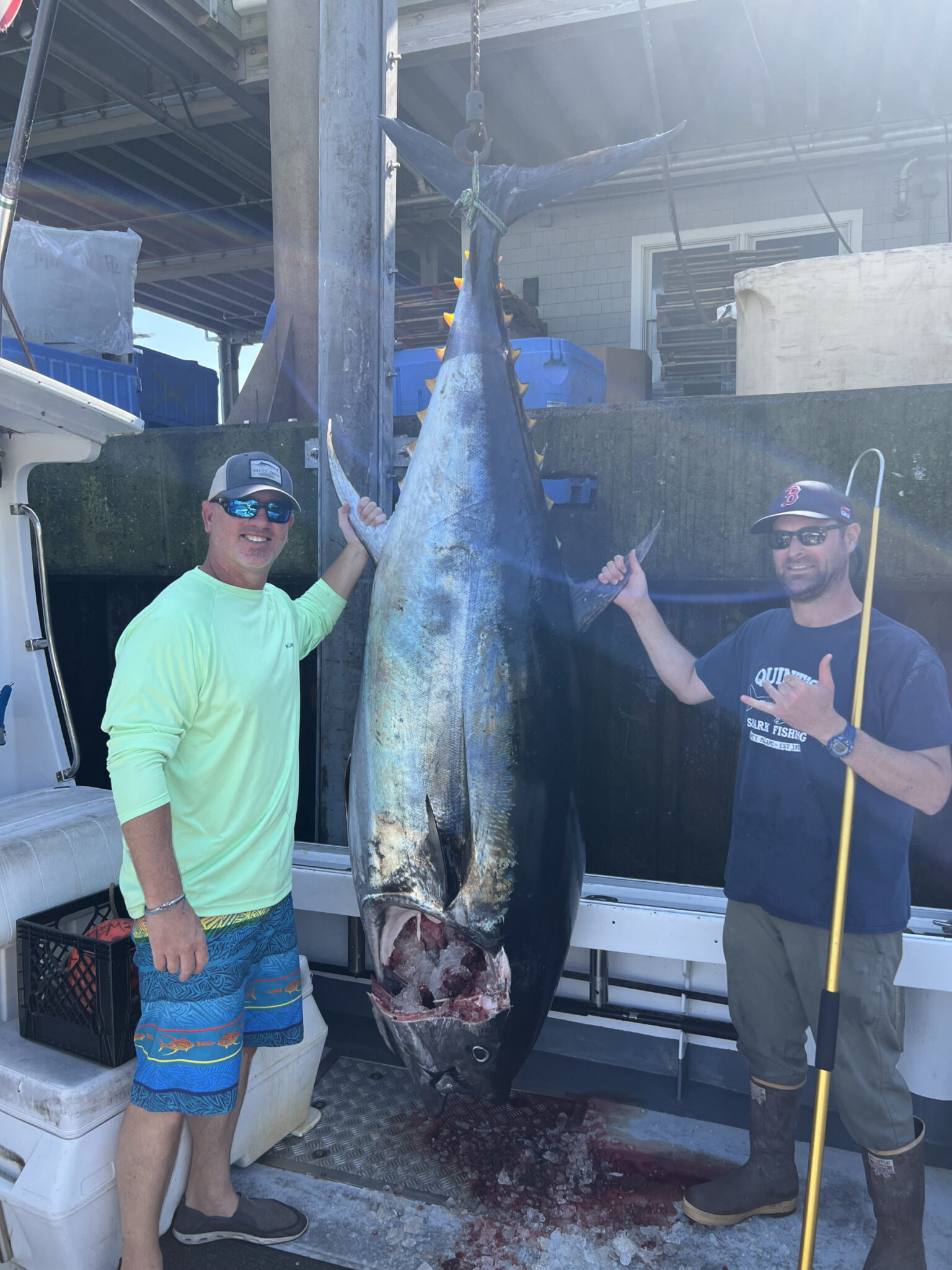 Giant fat bluefin tuna | Magic Fishing Charters